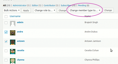 Changing Member Types Manually • BuddyDev Help Center