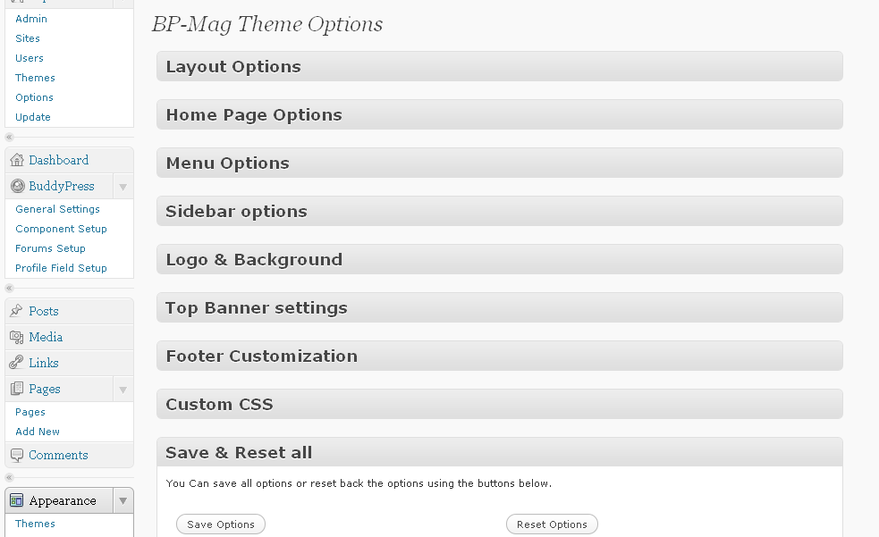 BP Mag Theme Admin Options | BuddyDev