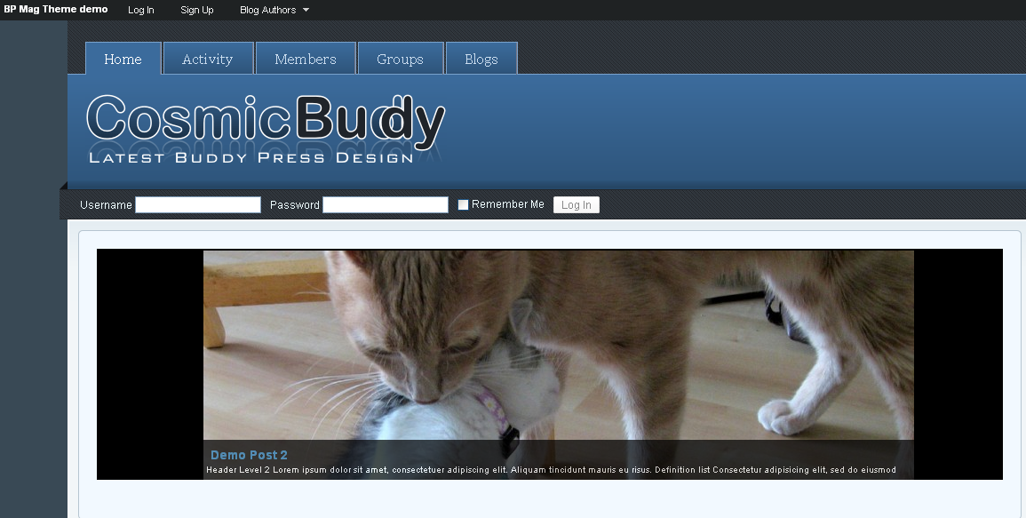 Cosmic Buddy Pro Theme | BuddyDev
