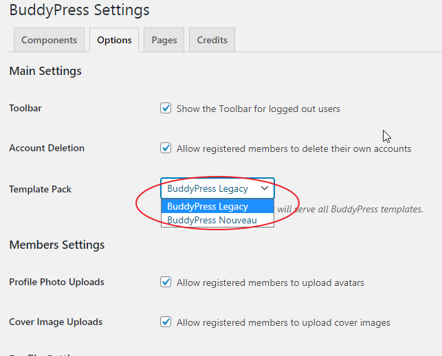 An Introduction to BuddyPress Template Packs | BuddyDev