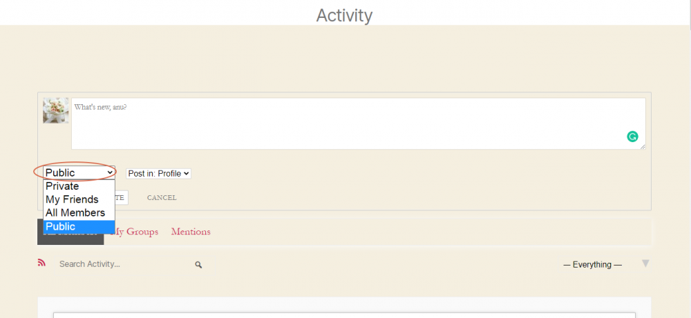 BuddyPress Activity Privacy | BuddyDev