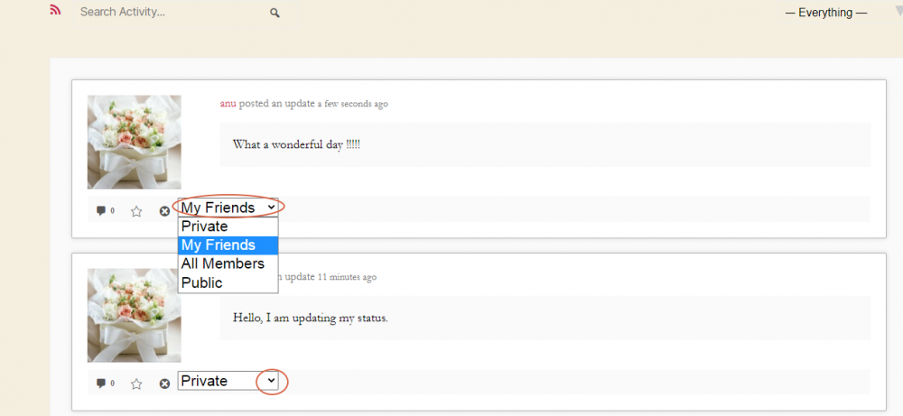 BuddyPress Activity Privacy | BuddyDev